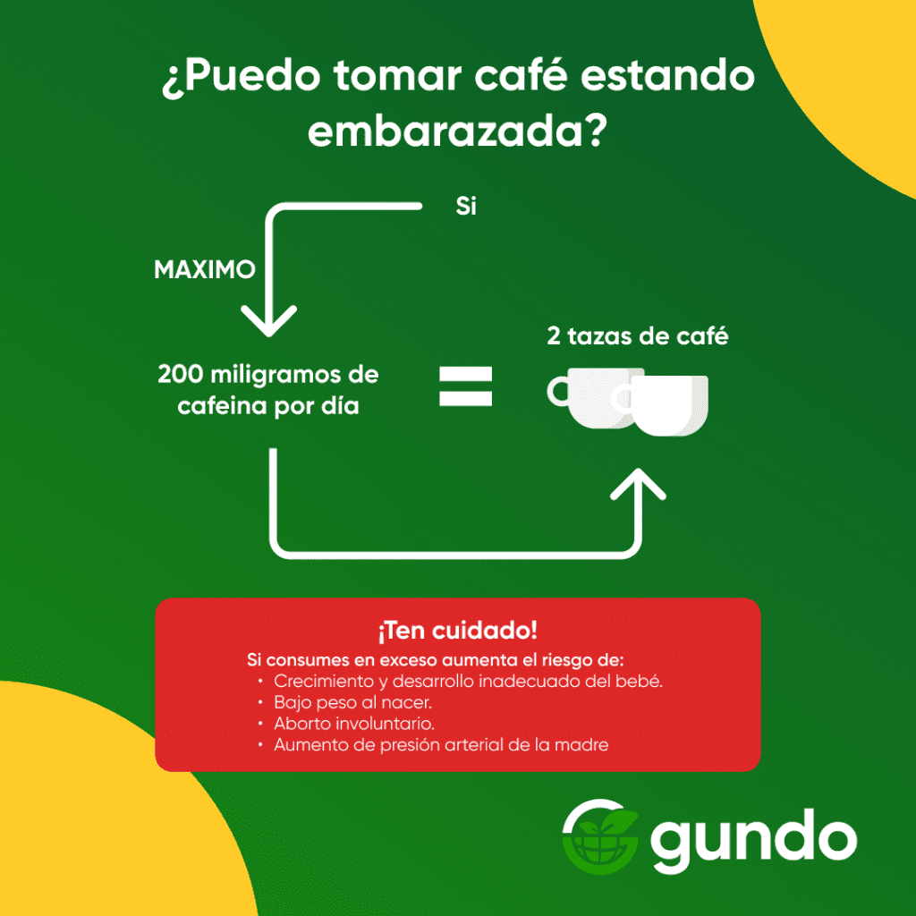 GUNDO: Personalización nutricional para tu compra y tu entrenamiento
